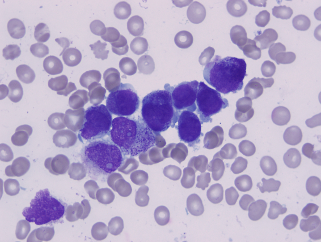 February 2016 – Lablogatory