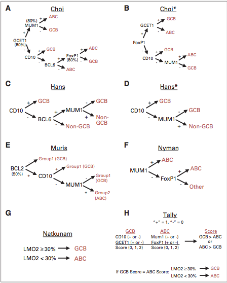 Molecular Perspectives of Diffuse Large B-cell Lymphoma – Lablogatory