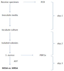 How Far Do We Have to Go to Report Methicillin-Resistant Staphylococcus ...
