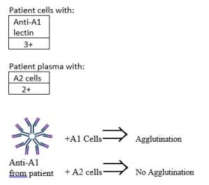 ABO discrepancy – Lablogatory