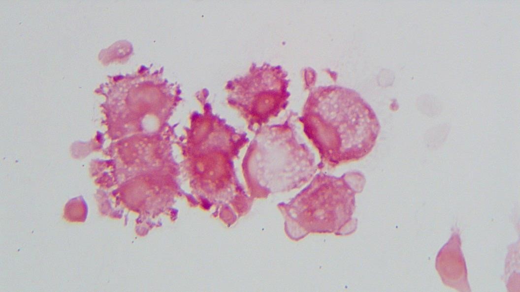 November 2018 – Page 2 – Lablogatory