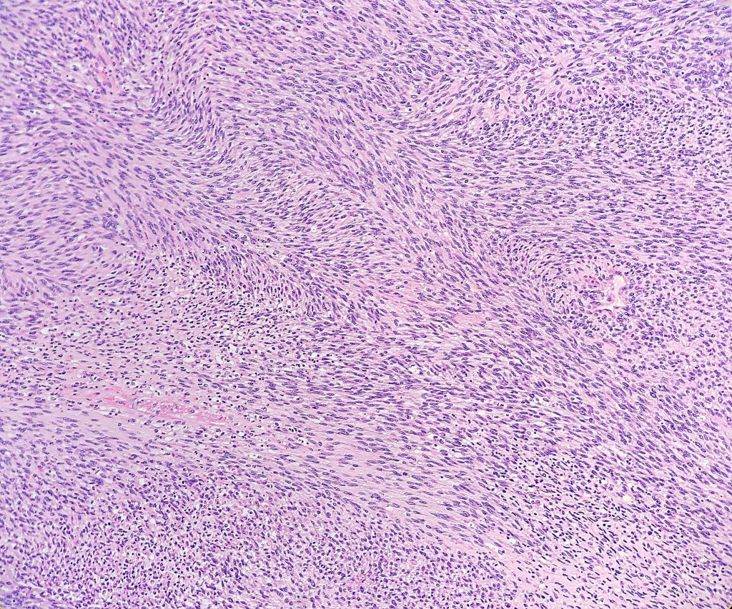 March 2019 – Lablogatory