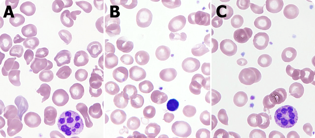 Slide Review and You – Lablogatory