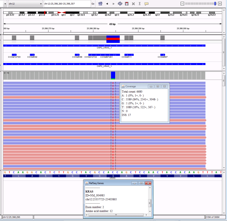 Next Generation Sequencing: Types of Variants – Lablogatory