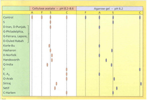 hemoele1 – Lablogatory
