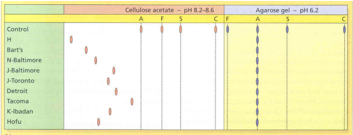 hemoele2 – Lablogatory