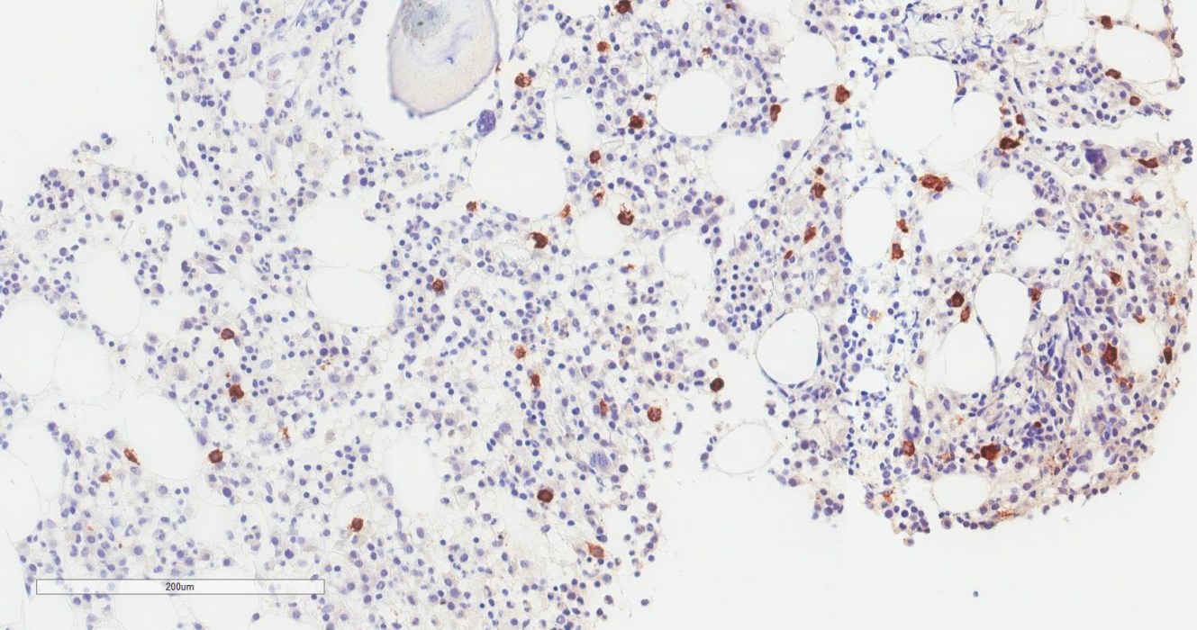 wm-lambda – Lablogatory