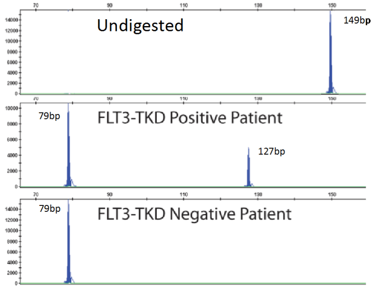 Pieces of PCR Products – Lablogatory