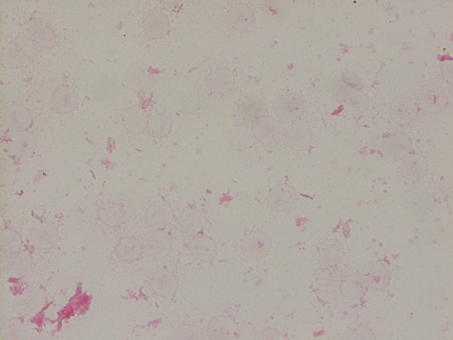 helico2 – Lablogatory