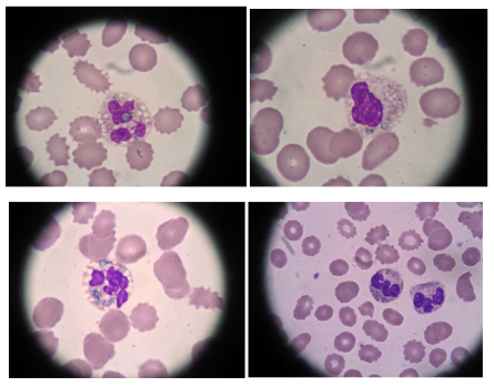 green-crystals-img1 – Lablogatory