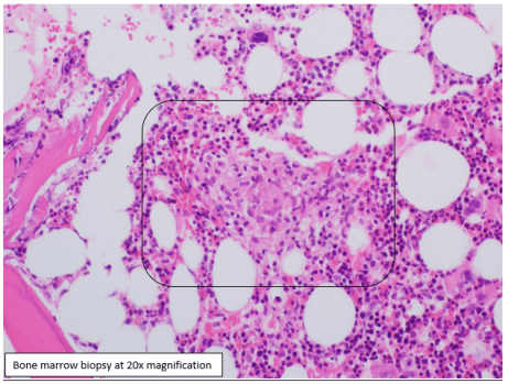 m.bov_.img2_ – Lablogatory