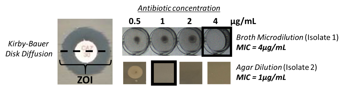 Breakpoint Breakdown – Lablogatory