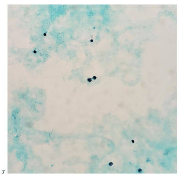 eyespy2img4 – Lablogatory