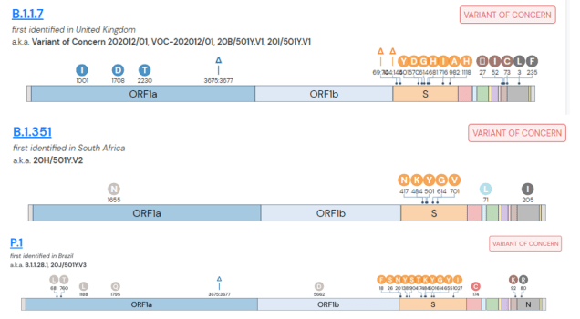 variant-fig-1 – Lablogatory
