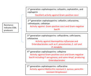 ESBL: What are they and how are they detected? – Lablogatory