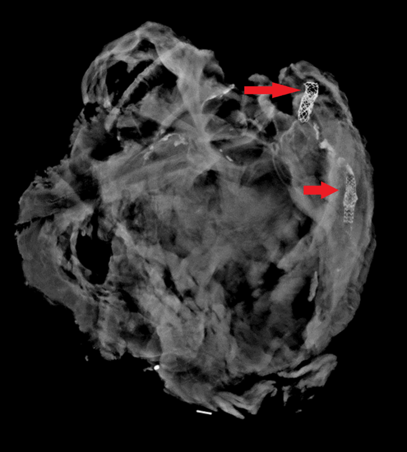 forensics – Lablogatory