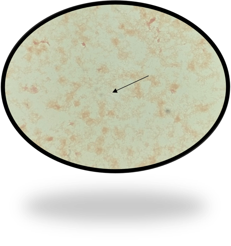 microbiology – Lablogatory